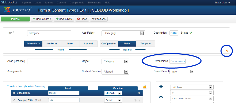 Displaying front-end Joomla! Category Form